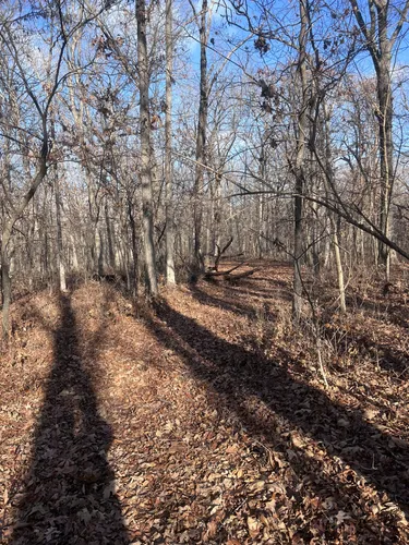 Best Hikes and Trails in Fewel Conservation Area | AllTrails