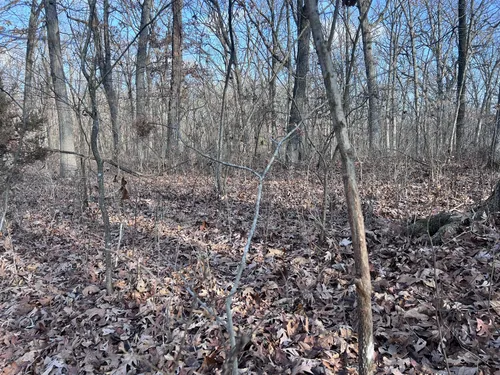 Best Hikes and Trails in Fewel Conservation Area | AllTrails