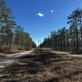 Munson Hills Trail, Florida - 647 Reviews, Map | AllTrails