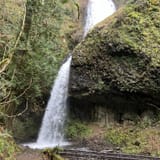 Latourell Falls Loop, Oregon - 6,556 Reviews, Map | AllTrails