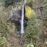 Latourell Falls Loop, Oregon - 6,556 Reviews, Map | AllTrails