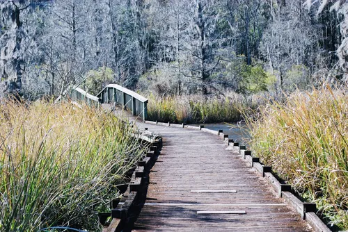 Best Hikes And Trails In Old Santee Canal Park Alltrails
