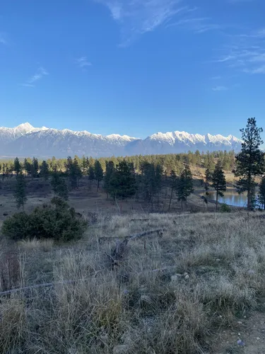 10 Best Trails and Hikes in Cranbrook | AllTrails