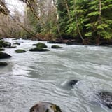Boulder River Trail, Washington - 1,679 Reviews, Map | AllTrails