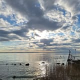 Fort Howard Park Trail, Maryland - 216 Reviews, Map | AllTrails