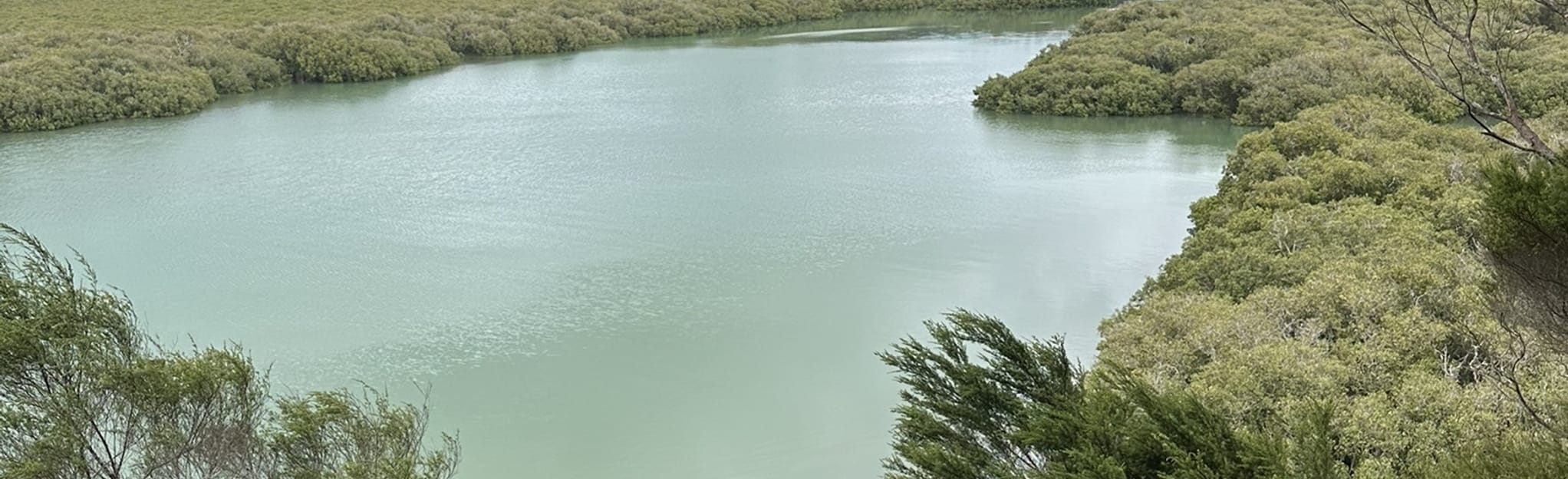 Waitangi to Haruru Falls Walk, Northland, New Zealand - 179 Reviews ...