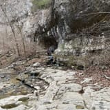 Walls of Jericho Trail, Alabama - 2,212 Reviews, Map | AllTrails