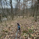 Walls of Jericho Trail, Alabama - 2,212 Reviews, Map | AllTrails