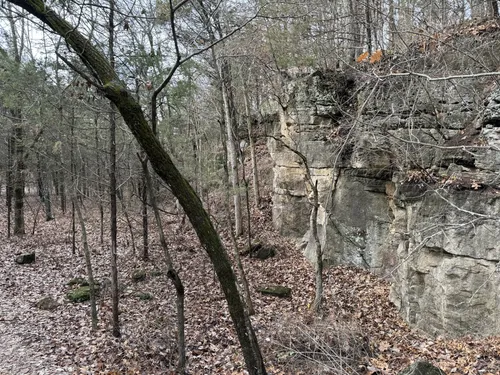 Best Hikes and Trails in Mastodon State Historic Site | AllTrails