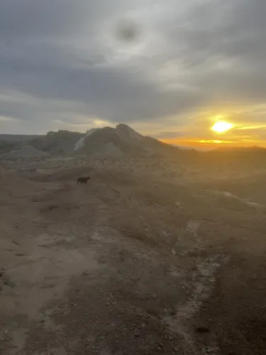 Best Hikes and Trails in Rainbow Basin Natural Area | AllTrails