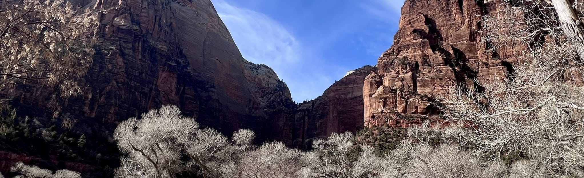 Zion Grotto Trail, Utah - 1,063 Reviews, Map | AllTrails