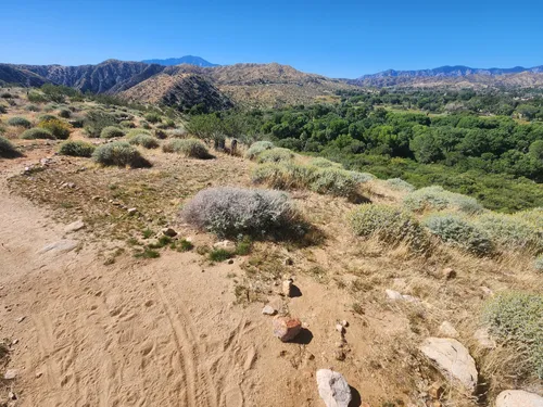 Best Bird Watching Trails in Morongo Valley | AllTrails