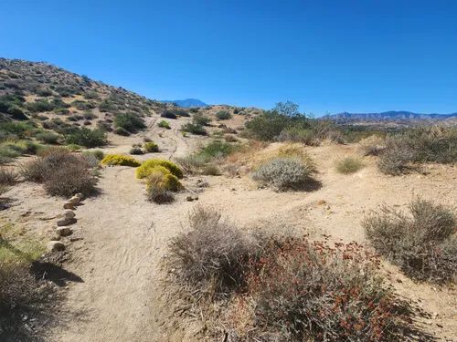 Best Hikes and Trails in Morongo Valley | AllTrails