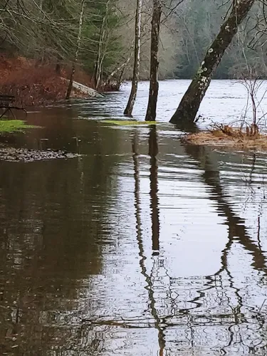 Best Hikes and Trails in Salt Rock State Park | AllTrails