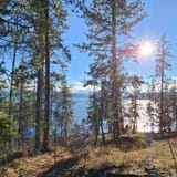 Tubbs Hill, Idaho - 3,854 Reviews, Map | AllTrails
