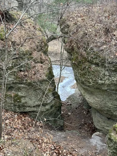 Best Hikes and Trails in Backbone State Park | AllTrails