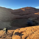 The Bowl, The Vortex, Utah - 1,471 Reviews, Map | AllTrails