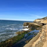 Point Loma Tidepools and Coastal Trail, California - 722 Reviews, Map ...