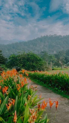 Best Hikes and Trails in Kepong Botanical Garden | AllTrails
