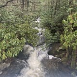 Hawk Falls Trail, Pennsylvania - 2,716 Reviews, Map | AllTrails