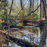 High Shoals Falls Trail, Georgia - 2,247 Reviews, Map | AllTrails