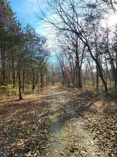 Best Hikes and Trails in August A Busch Memorial Conservation Area ...