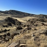 Trail Through Time, Colorado - 328 Reviews, Map | AllTrails