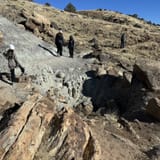 Trail Through Time, Colorado - 328 Reviews, Map | AllTrails