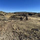 Trail Through Time, Colorado - 328 Reviews, Map | AllTrails