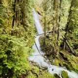 Murhut Falls Trail, Washington - 895 Reviews, Map | AllTrails