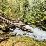 Murhut Falls Trail, Washington - 895 Reviews, Map | AllTrails