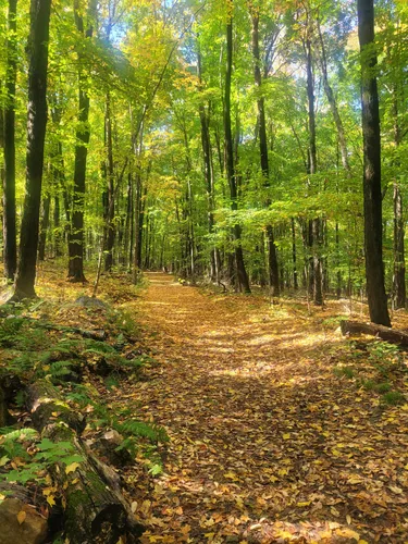 Best 10 Hiking Trails in Rib Mountain State Park | AllTrails
