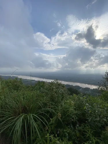 Best Hikes and Trails in Bukit Panau Recreational Forest | AllTrails