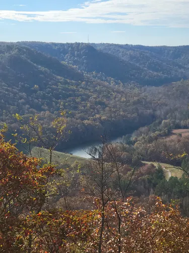 10 Best Hikes and Trails in Berea College Forest | AllTrails