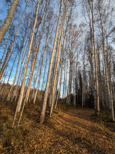 Best Hikes and Trails in Chena Lakes Recreation Area | AllTrails