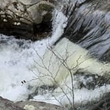 Jones Falls and Splash Dam Falls From Elk River Falls, Tennessee - 826 ...