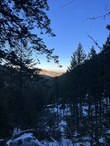 Best Hikes and Trails in Pinewood Springs | AllTrails