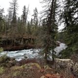 West Metolius River Trail, Oregon - 745 Reviews, Map | AllTrails