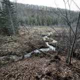 Jordan Valley Pathway, Michigan - 739 Reviews, Map | AllTrails