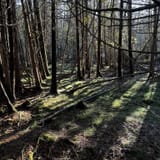 Jordan Valley Pathway, Michigan - 739 Reviews, Map | AllTrails