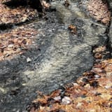 Jordan Valley Pathway, Michigan - 648 Reviews, Map | AllTrails