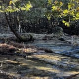 Jordan Valley Pathway, Michigan - 739 Reviews, Map | AllTrails