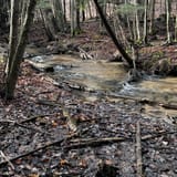 Jordan Valley Pathway, Michigan - 648 Reviews, Map | AllTrails