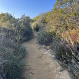 Temescal Canyon Viewpoint Trail, California - 1,199 Reviews, Map ...