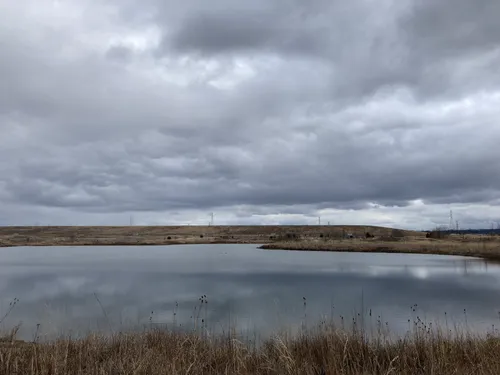 Best Hikes and Trails in Fernald Preserve | AllTrails