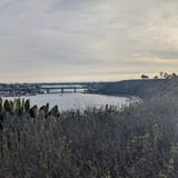 Back Bay Loop, California - 1,902 Reviews, Map | AllTrails