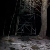 Mount Tremper Trail, New York - 1,485 Reviews, Map | AllTrails