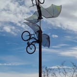 Rillito River Path, Arizona - 642 Reviews, Map | AllTrails