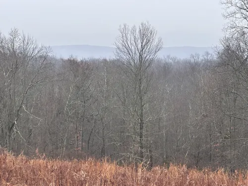 Best Dog Friendly Trails in Newtown | AllTrails