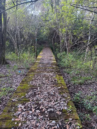 Best Hikes and Trails in Tenoroc Public Use Area | AllTrails